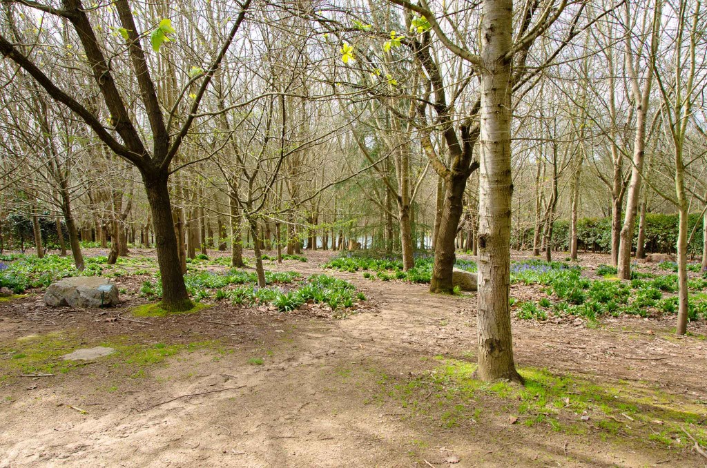 Ashcombe Maze - Love the Peninsula