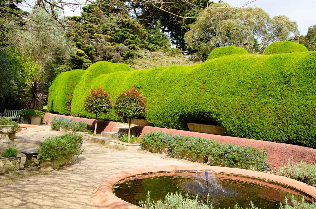 Ashcombe Maze - Love the Peninsula