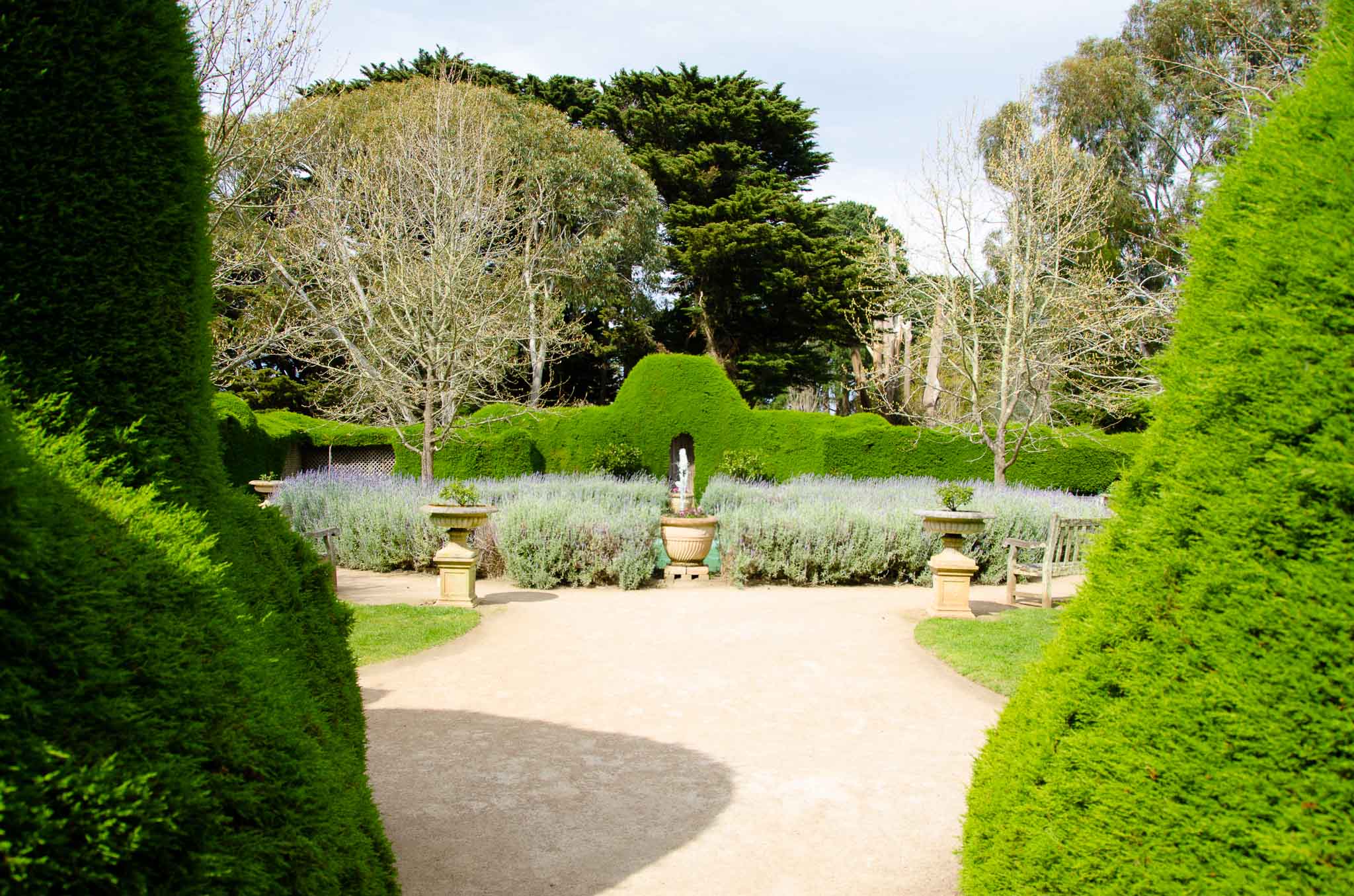 Ashcombe Maze - Love the Peninsula