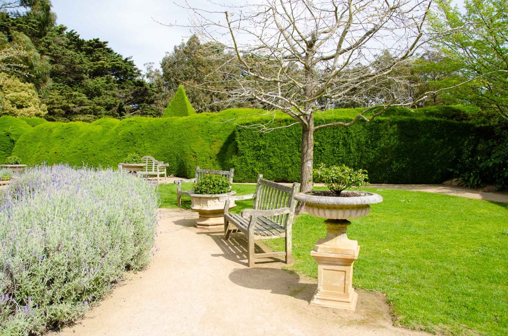 Ashcombe Maze - Love the Peninsula