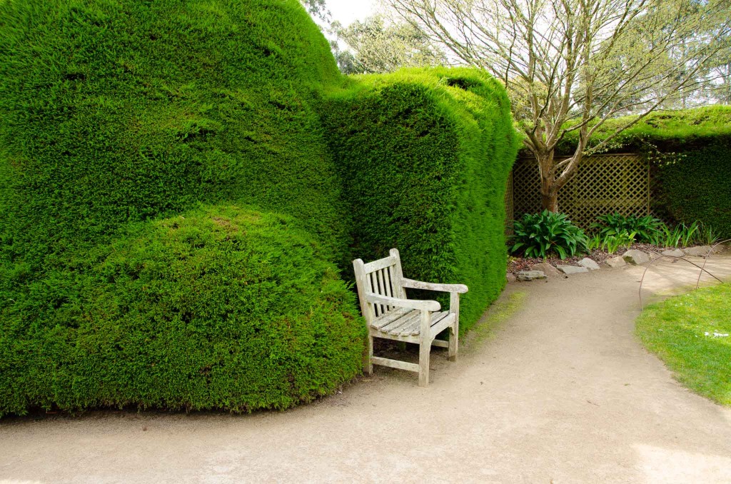 Ashcombe Maze, Red Hill - Love the Peninsula