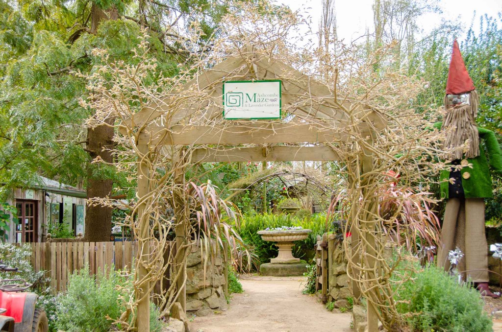 Ashcombe Maze - Love the Peninsula