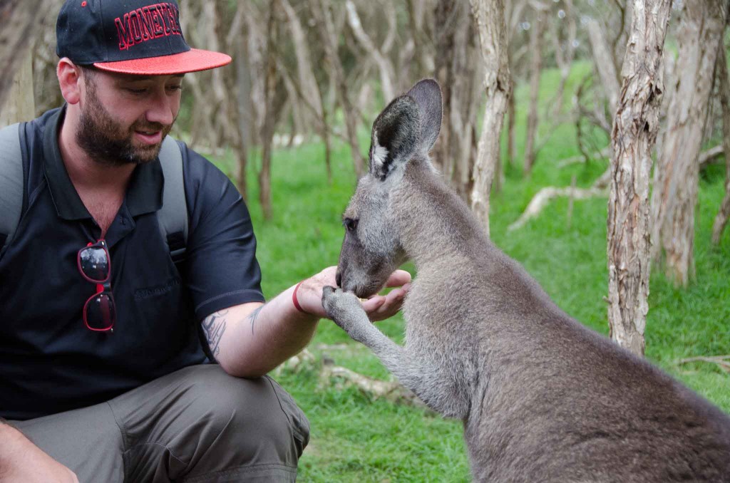 Moonlit Sanctuary Wildlife Conservation Park - Love the Peninsula