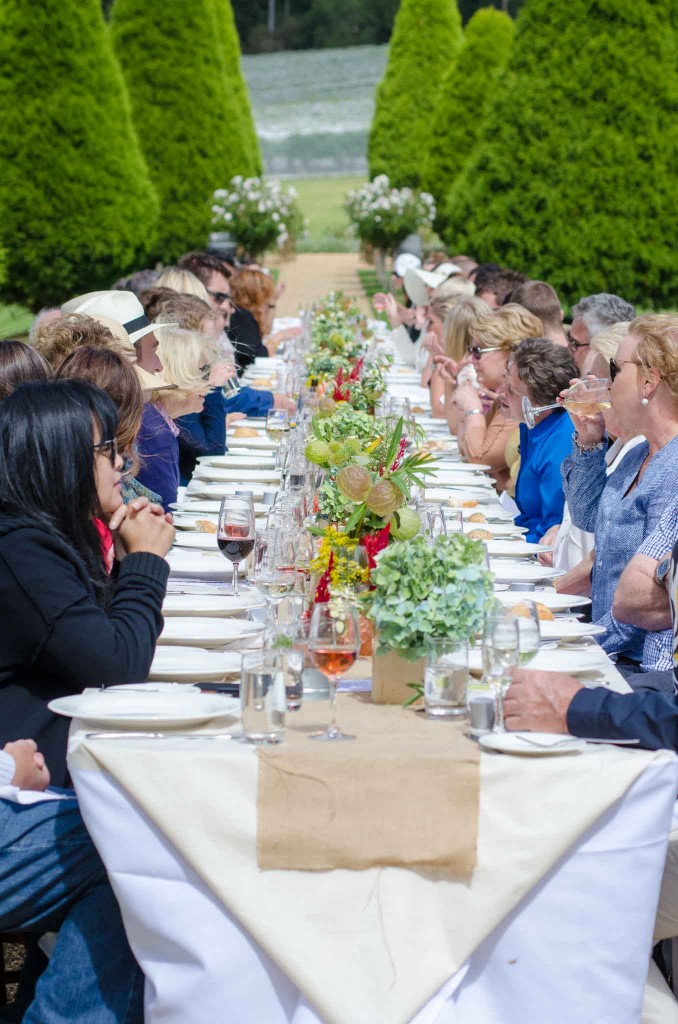 A Shared Lunch in the Vines - Love the Peninsula