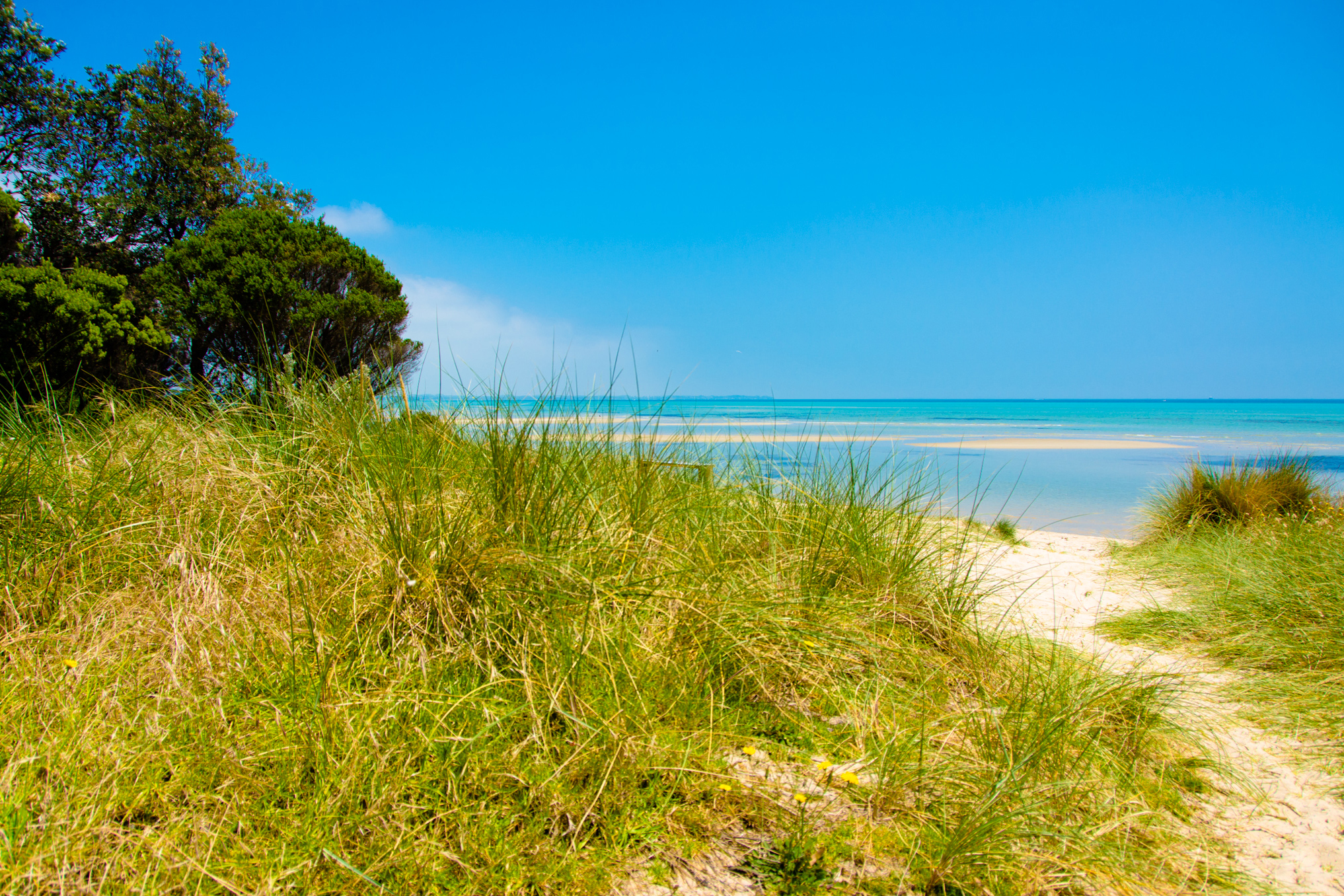 Explore Rye - Love the Peninsula