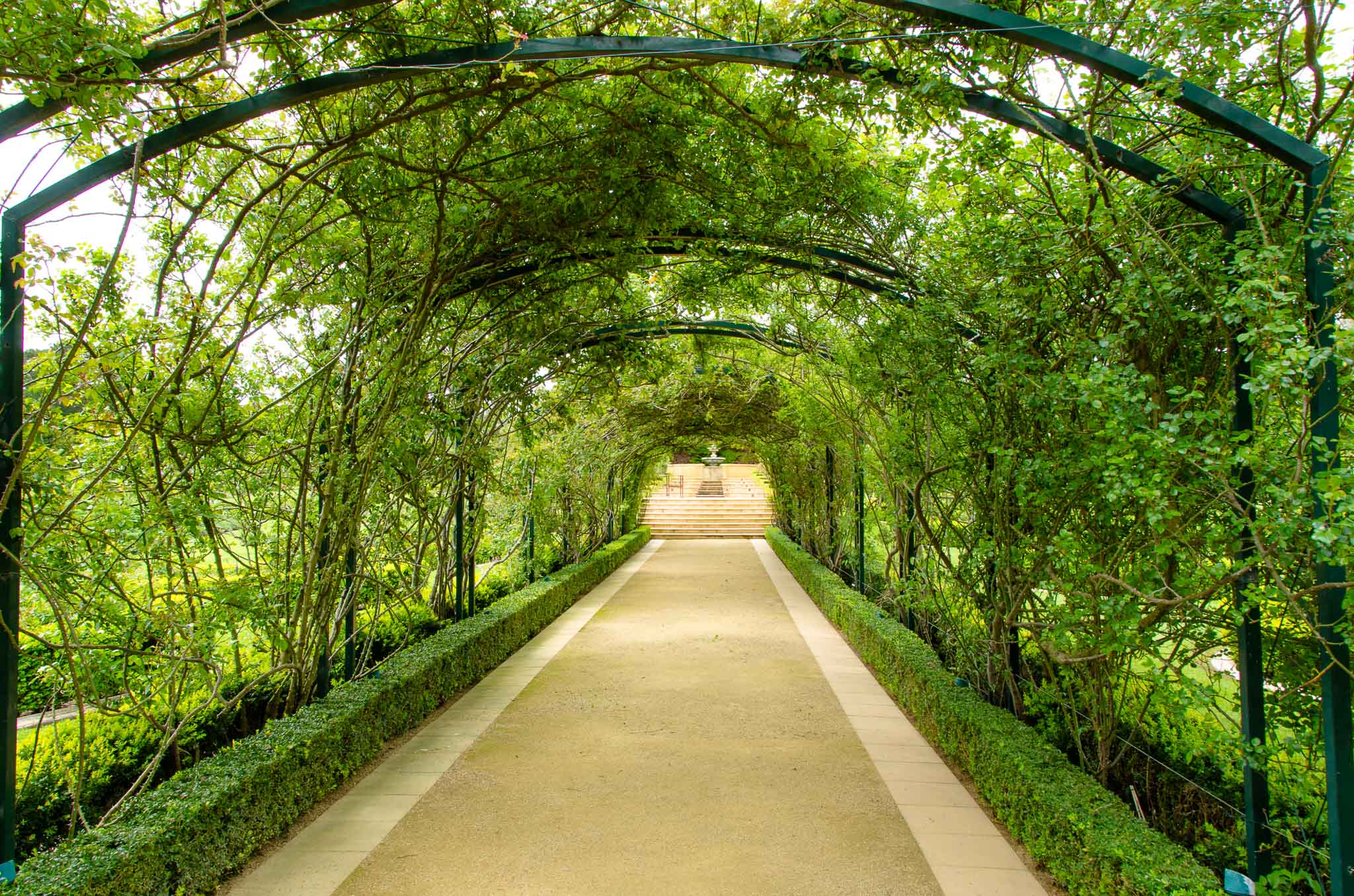 Garden Tours @ Morning Star Estate - Love the Peninsula