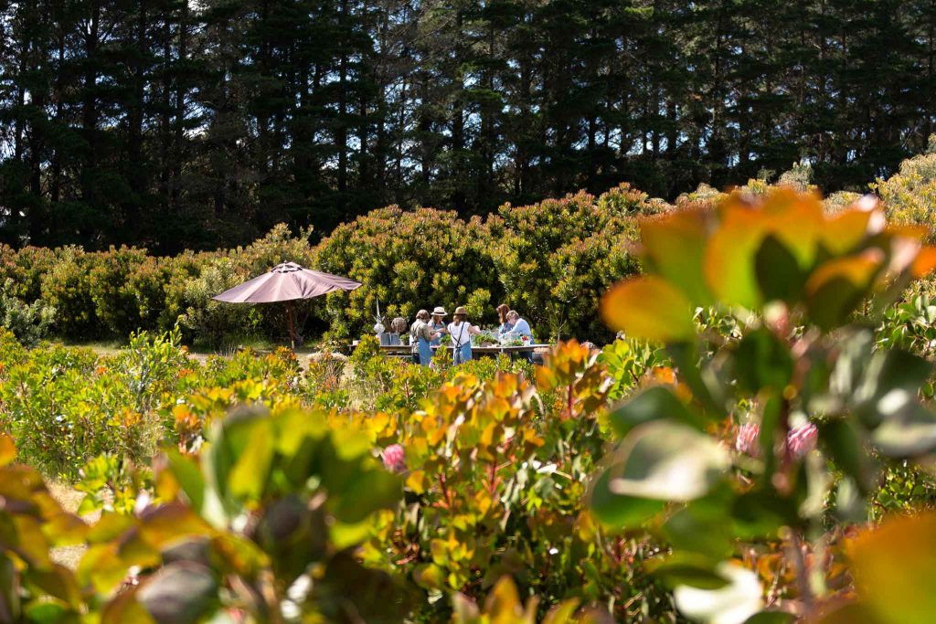 Point Leo Retreat - Love the Peninsula