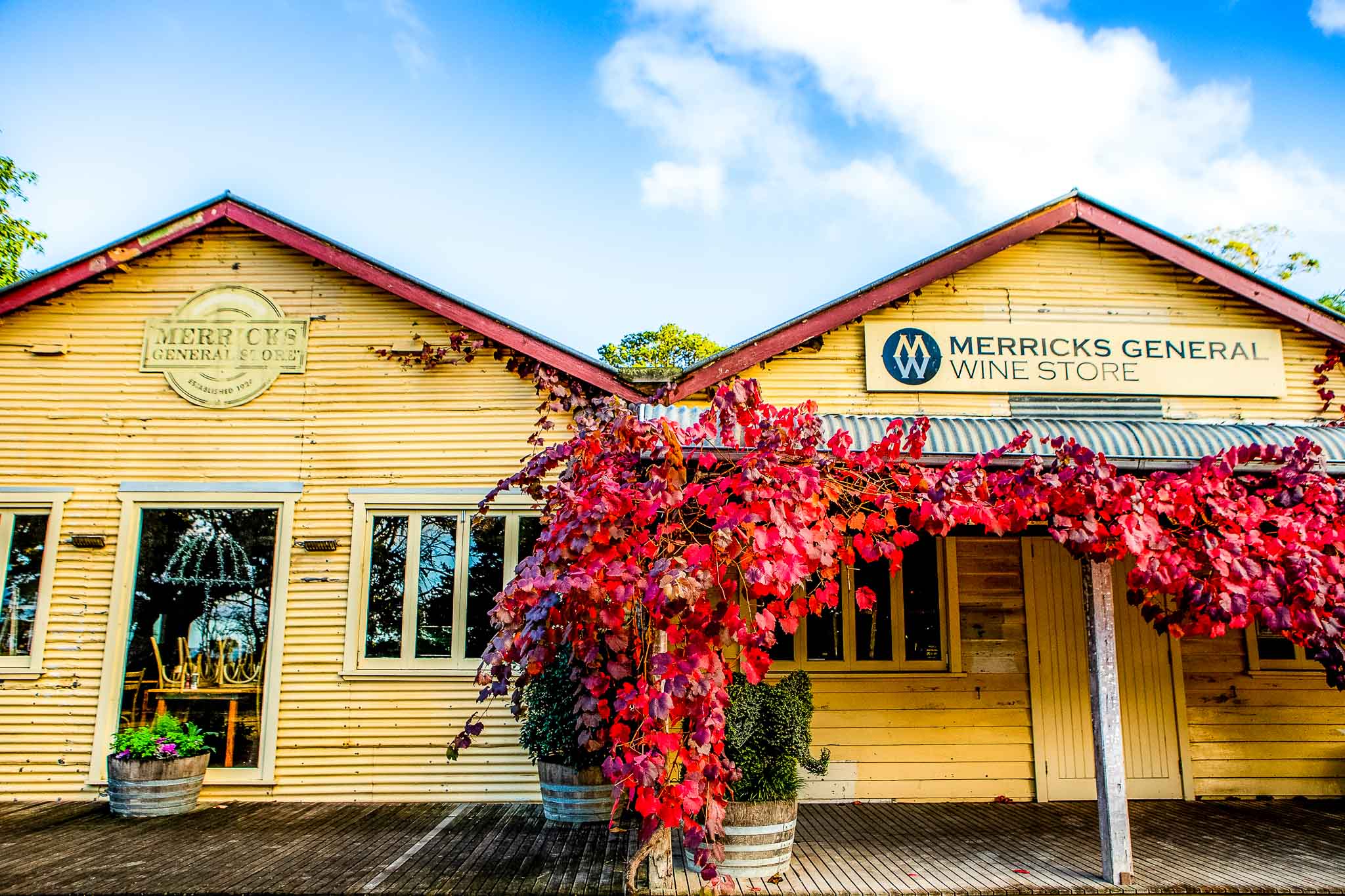 Scugnizzo Visits Merricks - Love the Peninsula