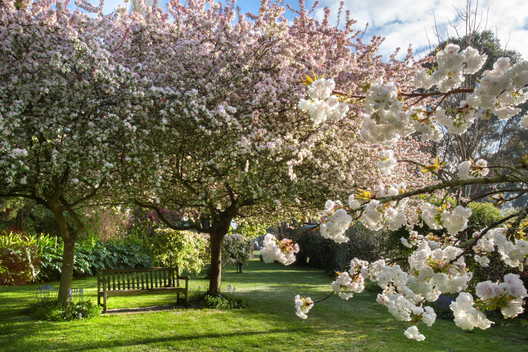 Cruden Farm | Blossom Time - Love the Peninsula