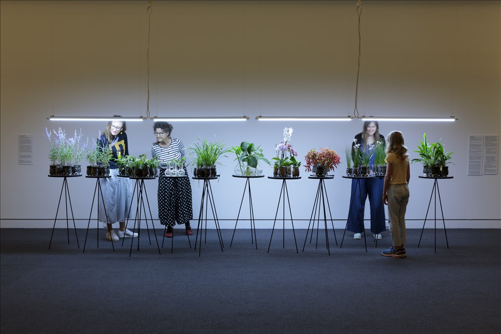 Garden Tours @ Morning Star Estate - Love the Peninsula